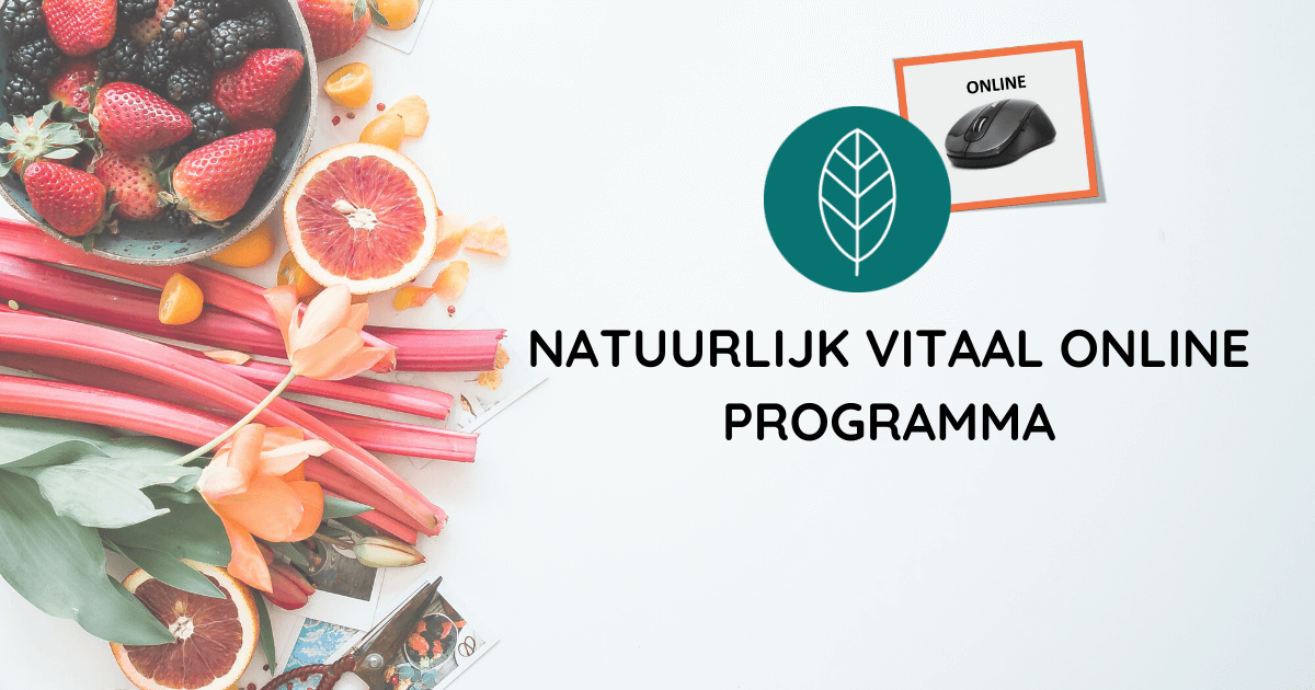 Nooit meer dieten 50 dagen programma - How2behealthy